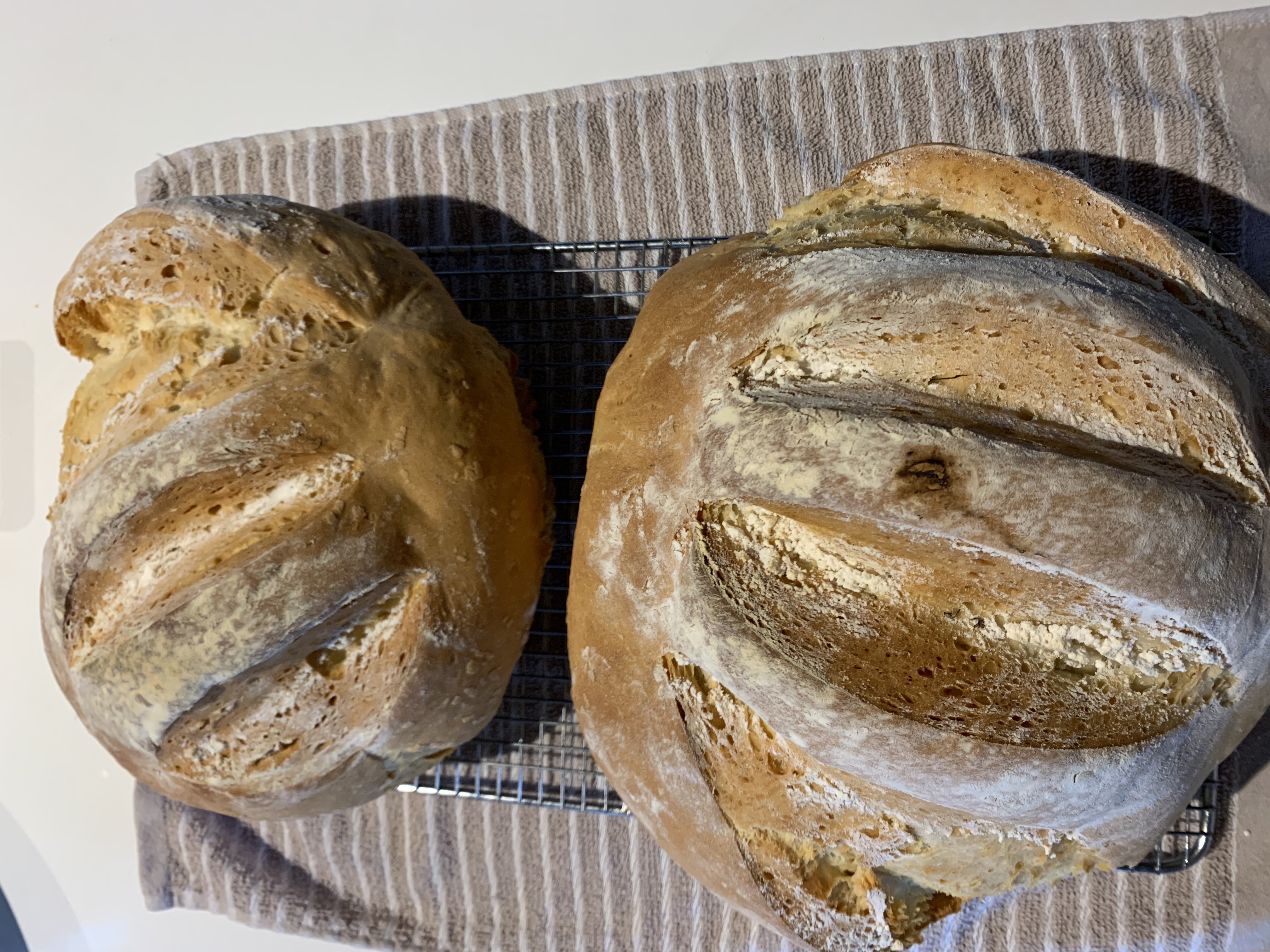 My Greek Kitchen | Greek Cooking Classes | Templestowe | South ...